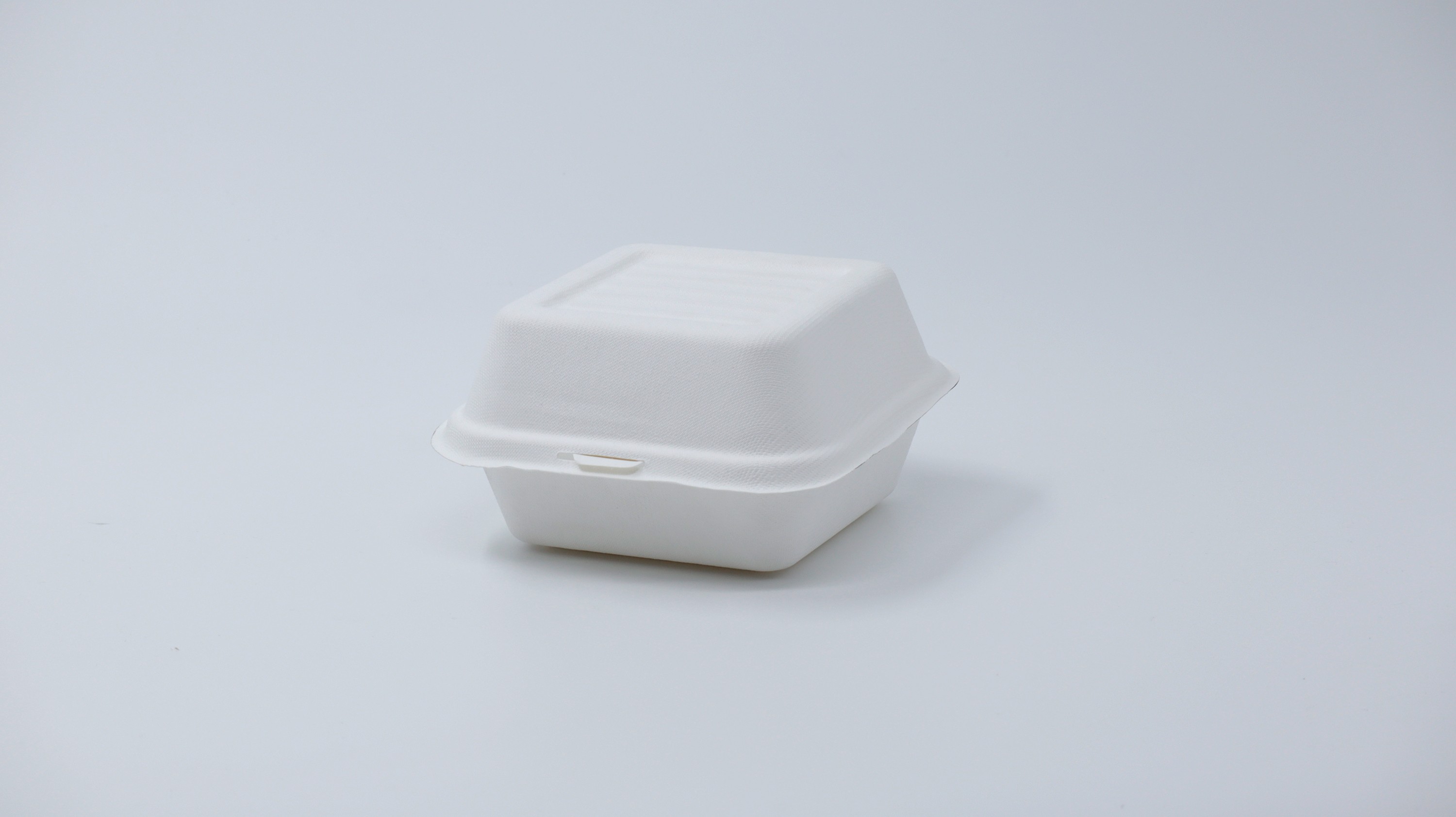 6" Sugarcane Hamburger Clamshell